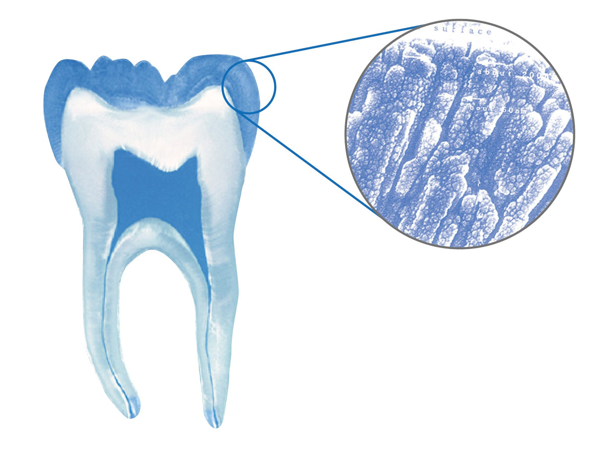 APAGARD DEEP CARE Remineralizuojamasis kondicionierius | Apadent ...